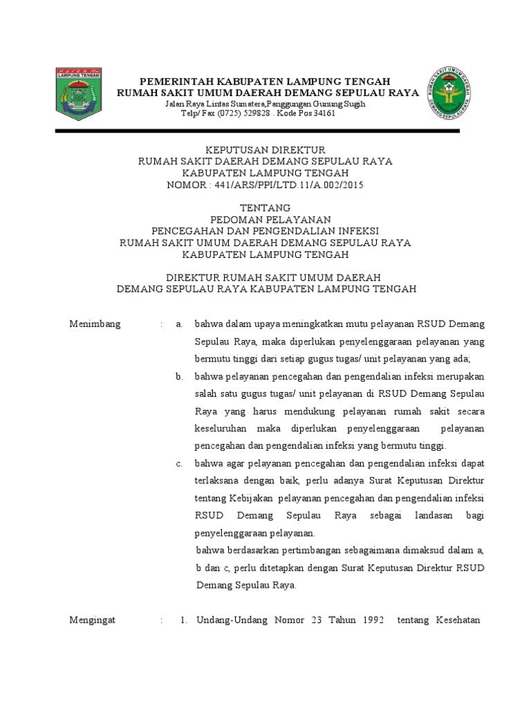 SK Pedoman Pelayanan PPI | PDF