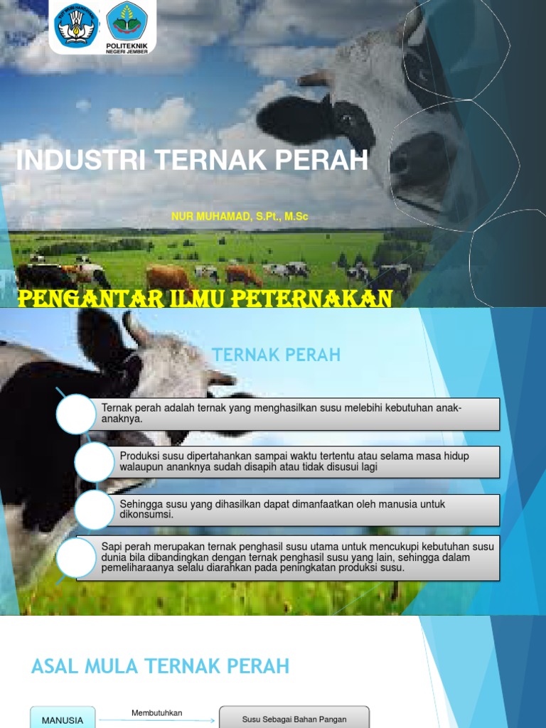 Industri Sapi Perah | PDF