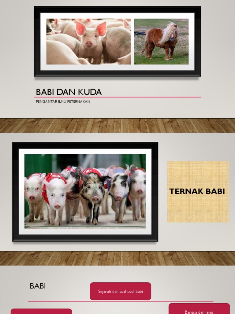 Babi Dan Kuda | PDF | Griya & Taman
