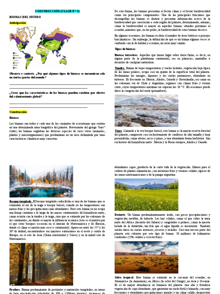 Biomas del Mundo: Diversidad y Clima | PDF | Desierto | Tierra