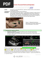 Benenstein Basic Tee Protocol | PDF | Heart Valve | Echocardiography