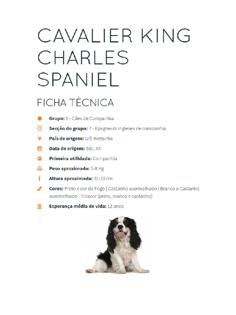 Cavalier King Charles Spaniel | PDF | Cães
