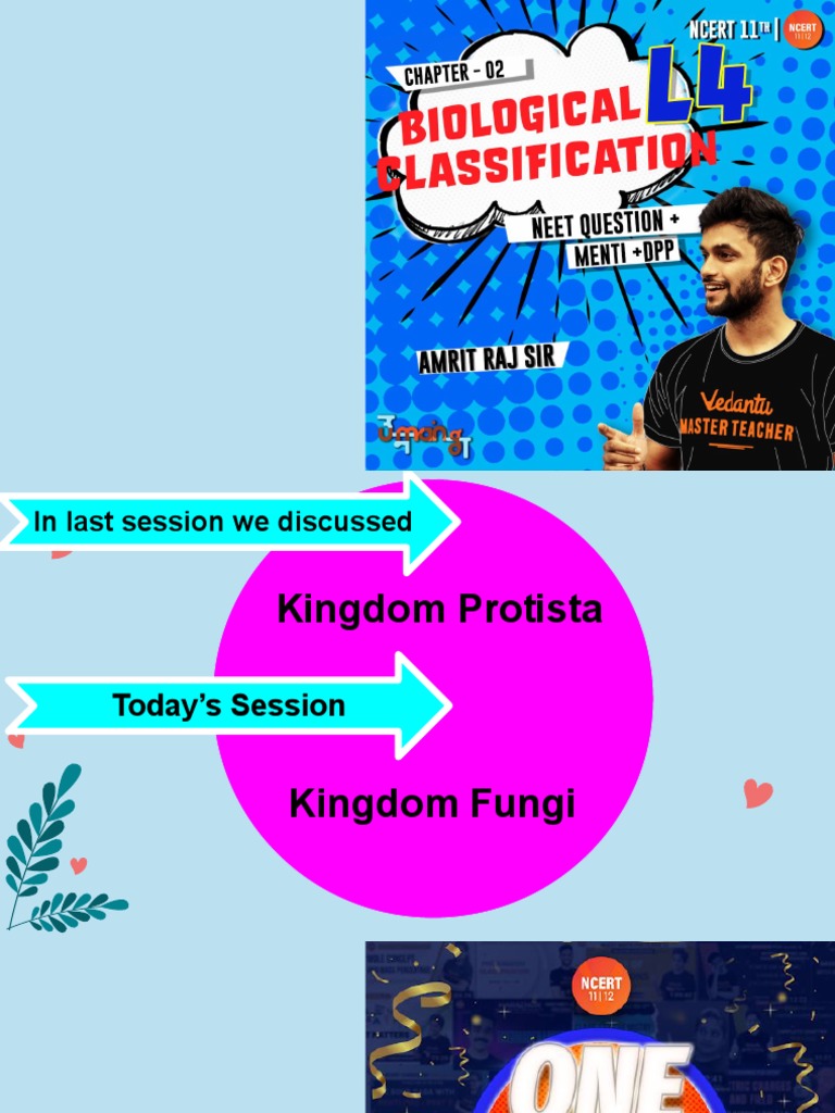 Understanding Kingdom Fungi: A Comprehensive Look at Their ...