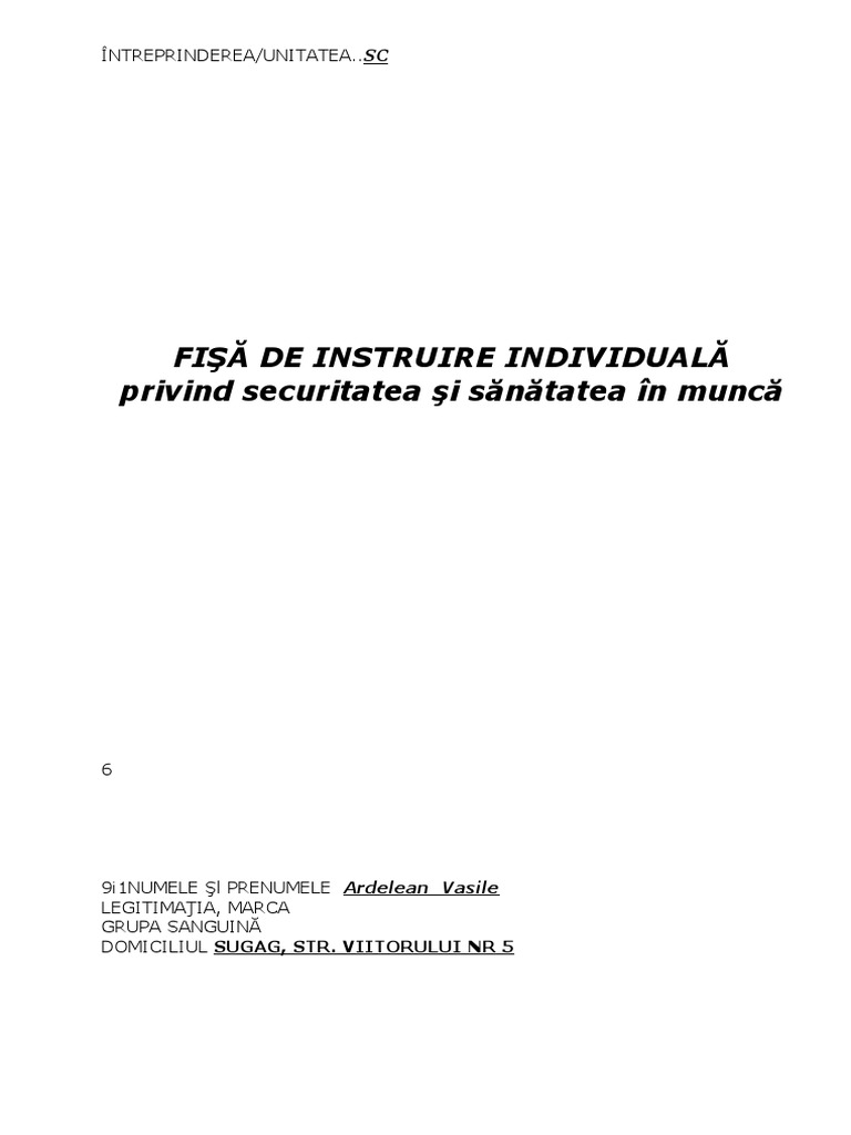 Fise Instruire SSM Model 2017 | PDF