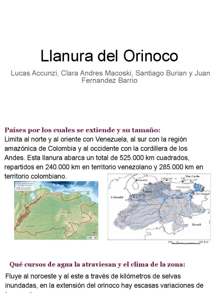 Llanura Del Orinoco | PDF