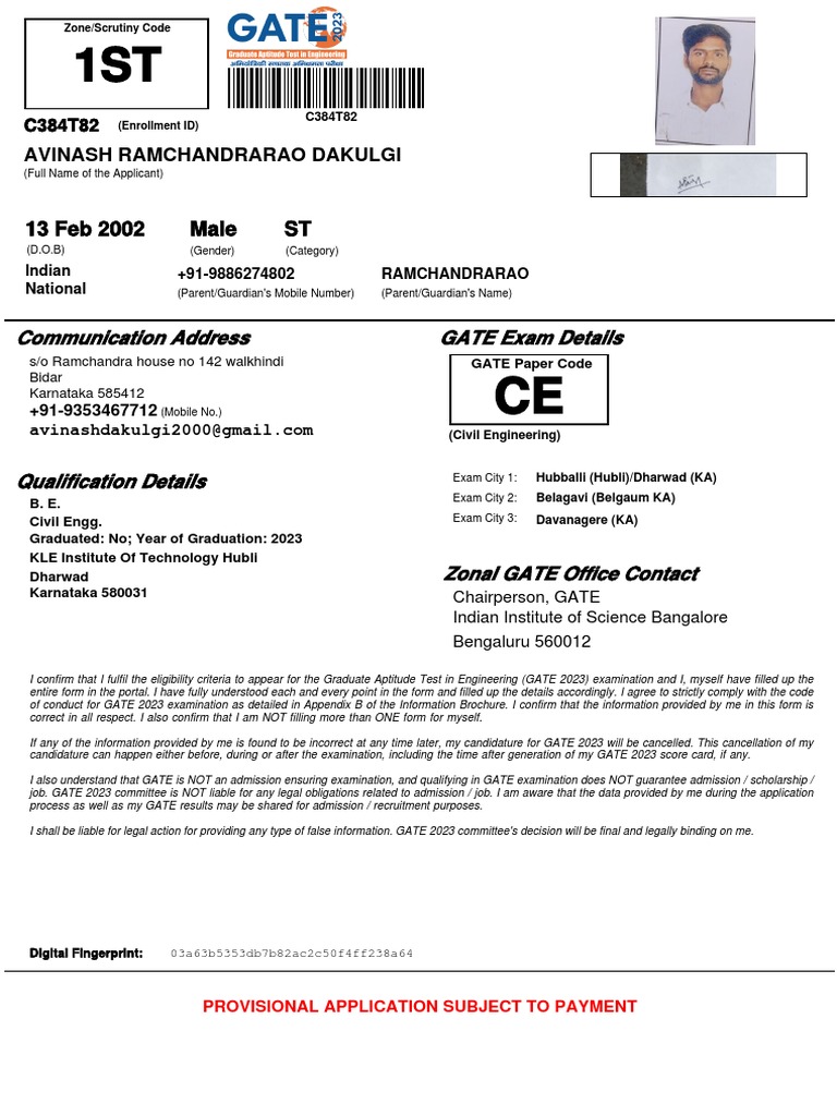 C384 T82 Application Form | PDF