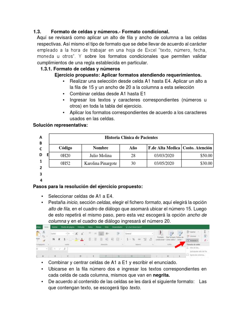 3 Formato de Celdas y Número-Formato Condicional | PDF | Informática
