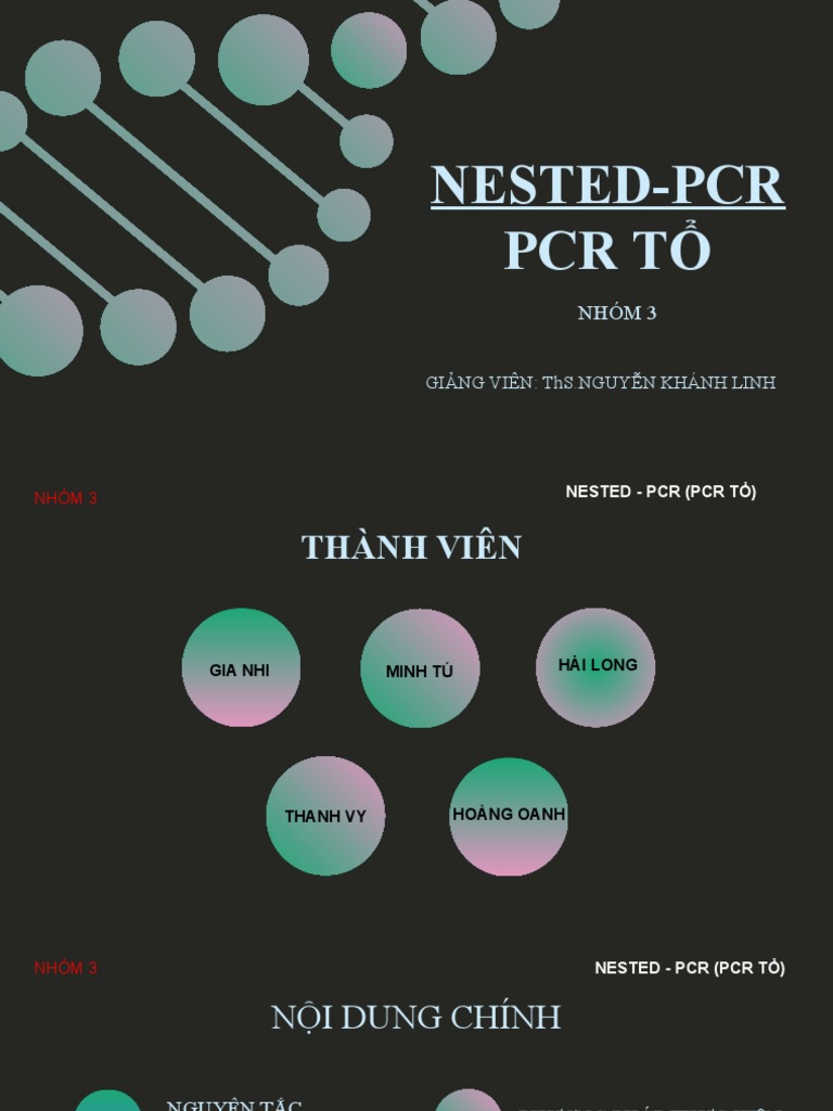 Sinh Học Phân Tử Nhóm 3 Nested Pcr | PDF