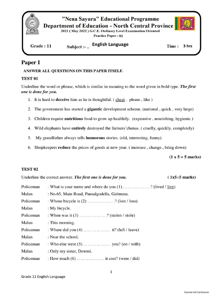 O - L English - Practice Paper 2 - NCP | PDF