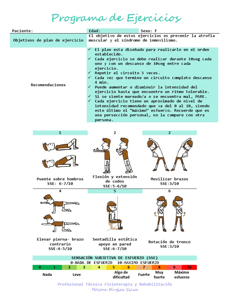 Plan de Ejercicios Terapéuticos | PDF | Ciencias de la Salud | Medicina CLINICA