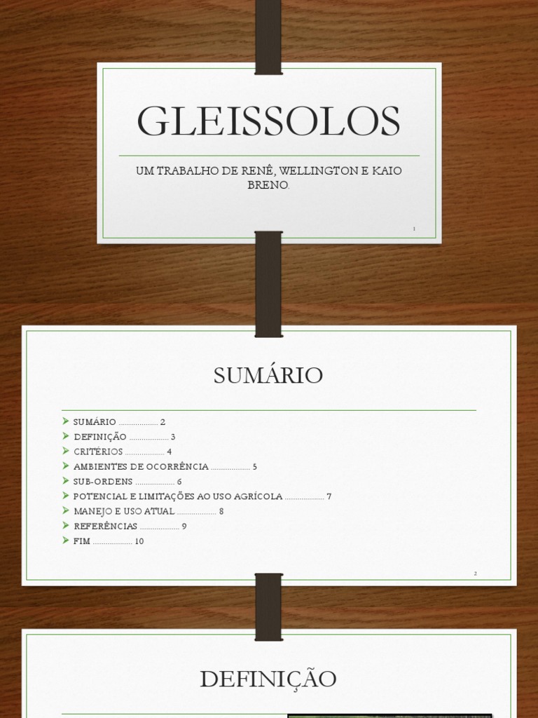 Uma análise dos principais aspectos dos Gleissolos: definição ...