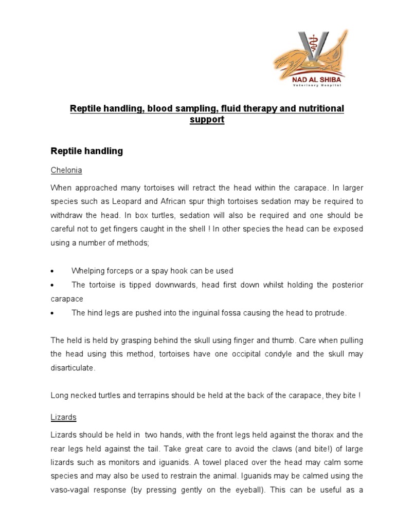 Restraint Handling Snake | PDF | Intravenous Therapy | Reptile