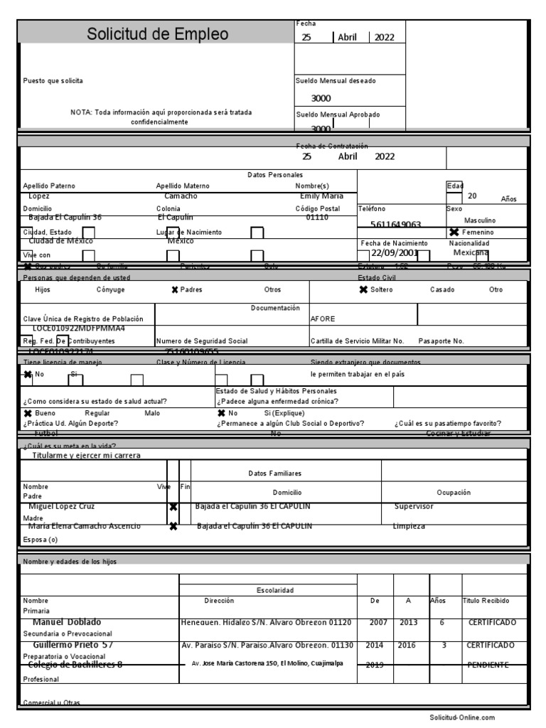 Solicitud de Empleo | PDF