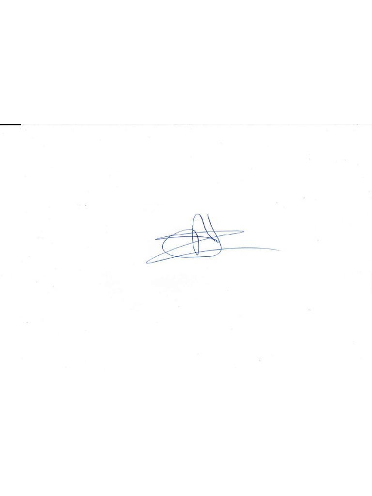 Firma Director 1 | PDF