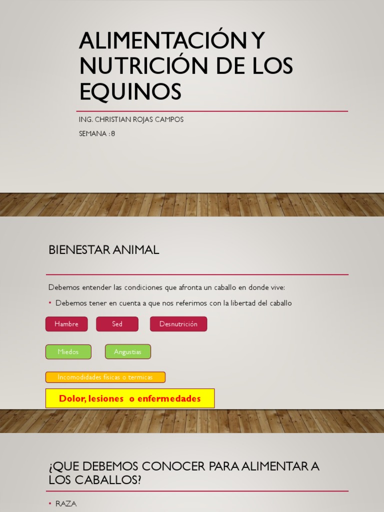 Alimentación y Nutrición de Equinos | PDF | Alimentos | Digestión