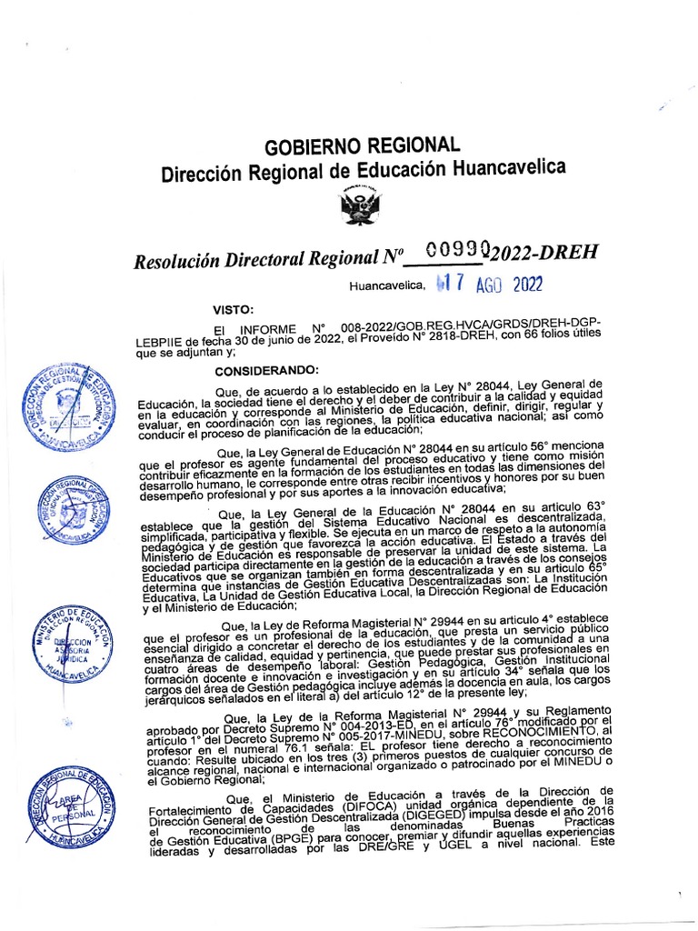 RDR Voluntariaado Drehuancavelica 2022 | PDF