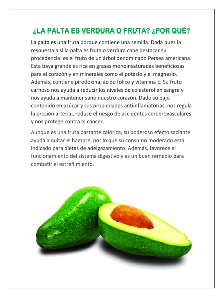 La palta: fruta nutritiva y saludable | PDF