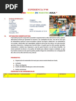 Sesiones de Experimentos para Niños de Inicial | PDF | Aprendizaje | Evaluación