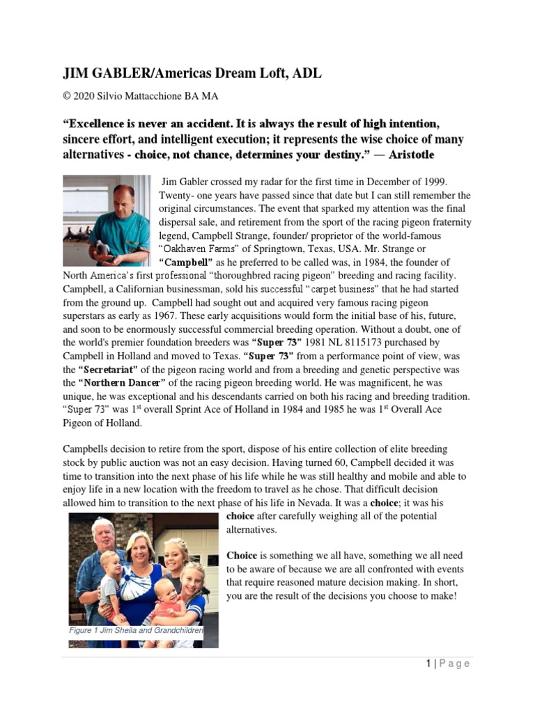 Jim Gabler ADL | PDF | Travel