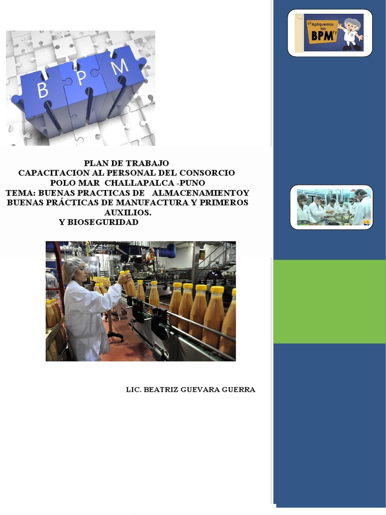 PLAN DE TRABAJO de Capacitacion de BPA Y BPM, Y PRIMEROS AUXILIOS | PDF ...