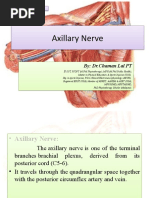 Mechanical Advantage vs. Disadvantage in Levers | PDF | Anatomical ...
