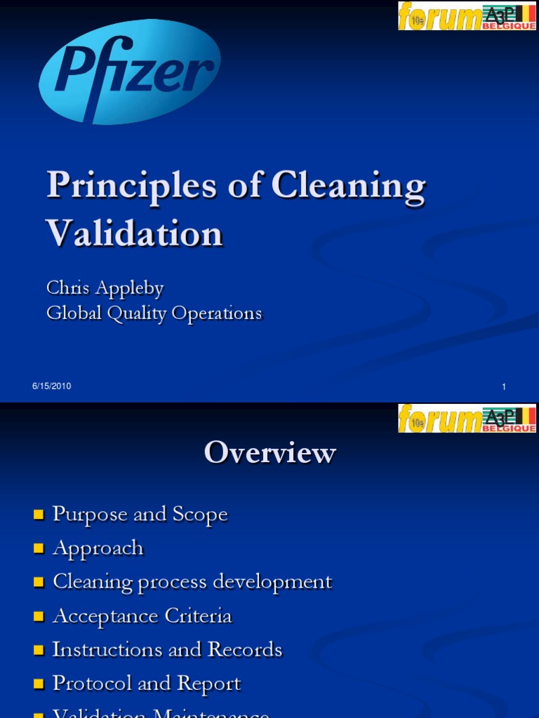 Equipment Cleaning Validation Guide | PDF | Verification And Validation ...