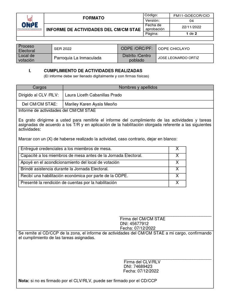 Informe de actividades del CM/CM STAE | PDF | Gobierno | Democracia
