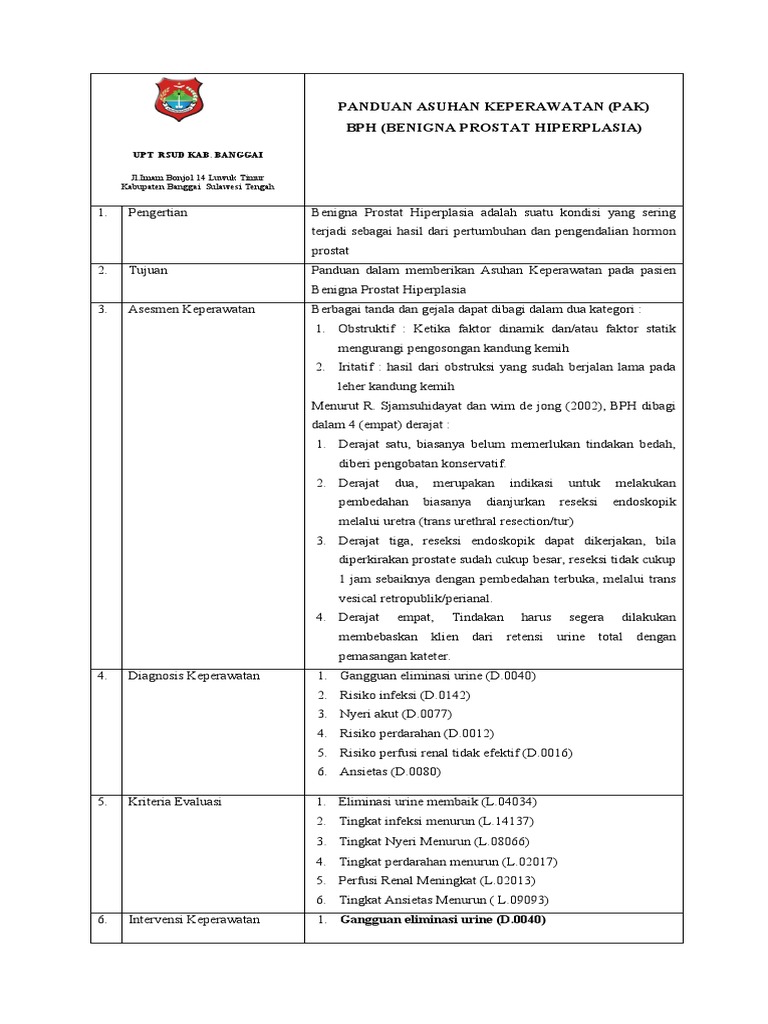 SAK BPH Prostat | PDF