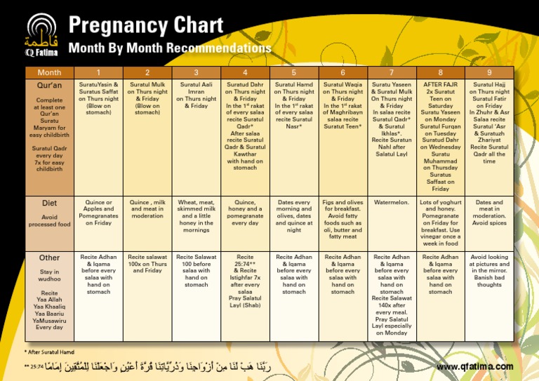 Month-by-Month Pregnancy Guide | PDF