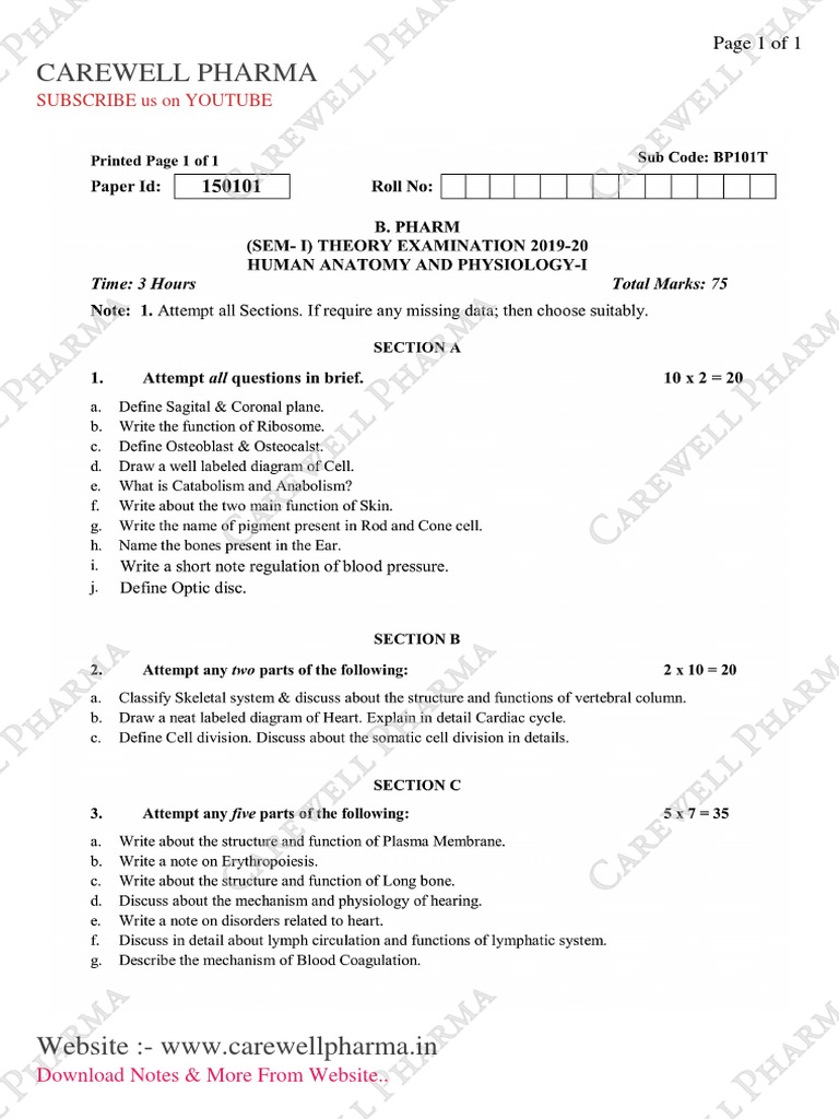 Hap-1 Question Paper BP101T 2019-20 1st Semester | Download Free PDF | Lymph | Blood