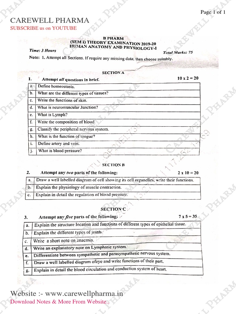 Hap 1 Question Paper 2019 20 1st Semester Download Free Pdf Lymph