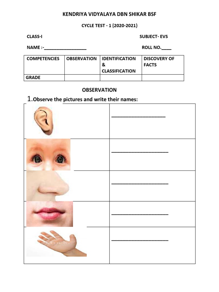 Cycle Test 1 Evs | PDF