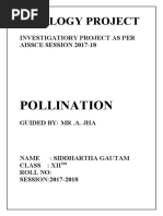 Pollination Class 12 Biology Project | PDF | Pollination | Pollinators