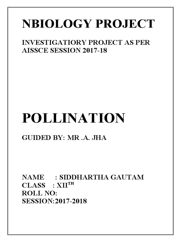 Pollination Process in Sunflowers | PDF | Pollination | Flowers