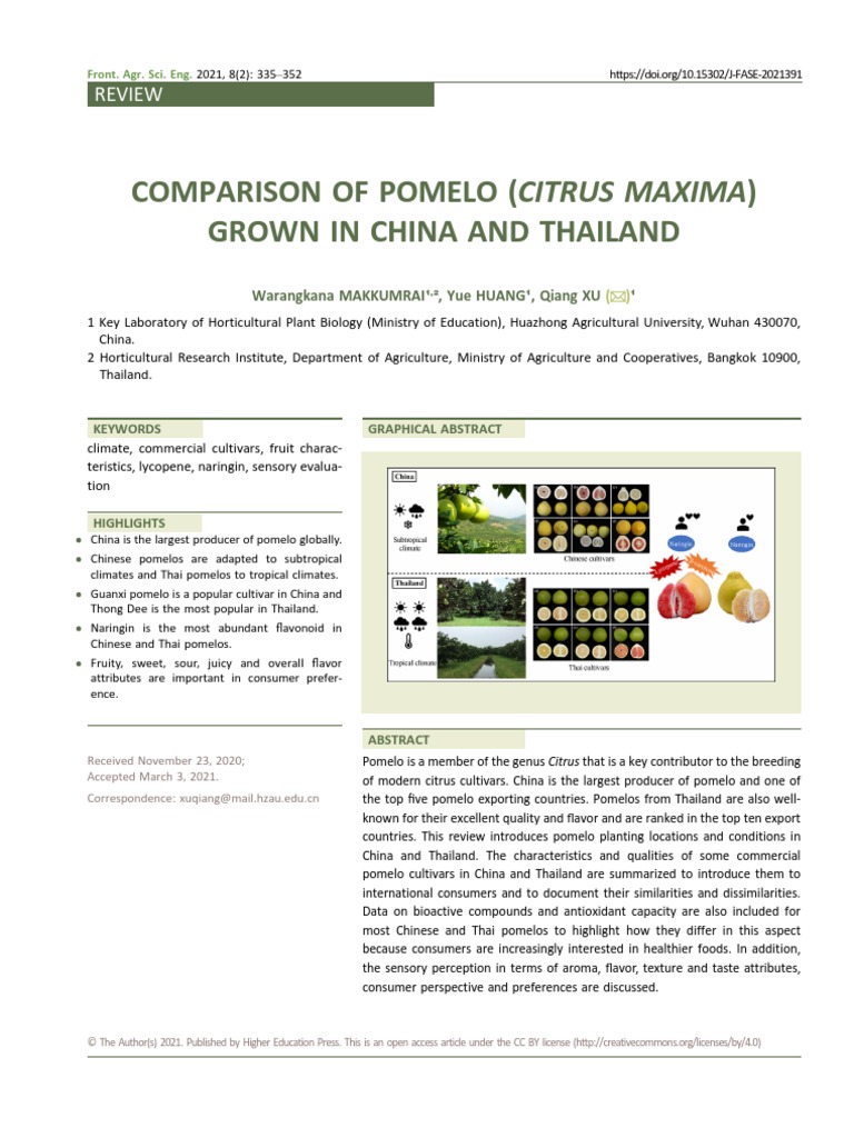 Comparison of Pomelo (Citrus Maxima) | PDF | Citrus | Grapefruit