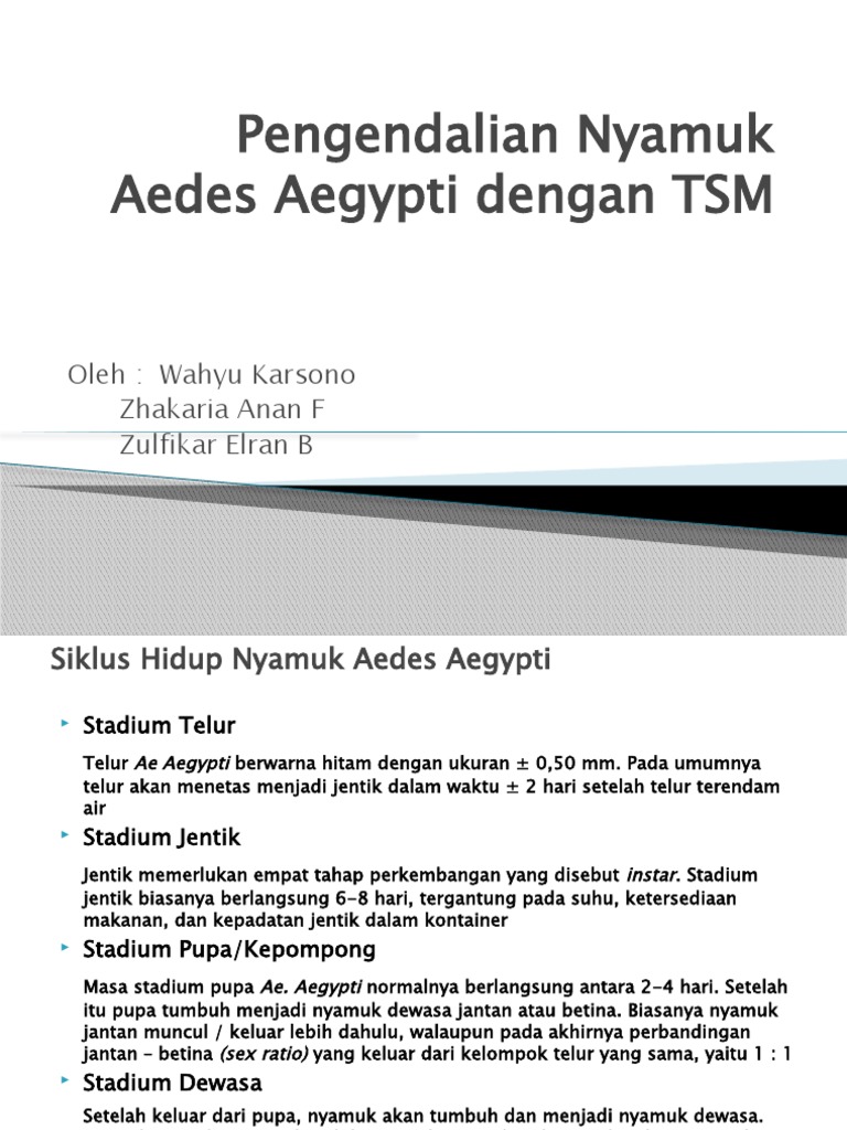 Presentasi TSM | PDF