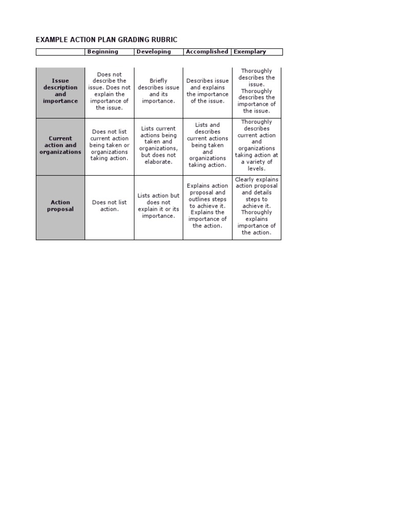 Action Plan Grading Rubric Example | PDF