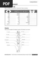 Cavy Body Parts | PDF