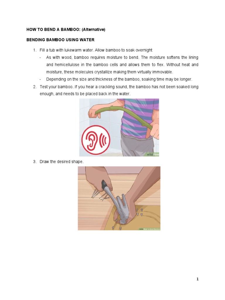 Bamboo | PDF | Wood | Bamboo