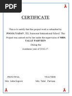 Class 12 Biology Project on HIV/AIDS | PDF | Cd4 | Hiv/Aids