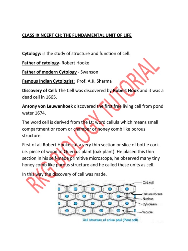 Cell Fundamental Unit of Life | PDF | Meiosis | Osmosis