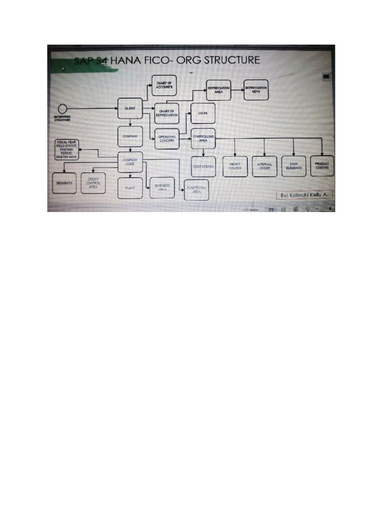 FICO Org Element. | PDF