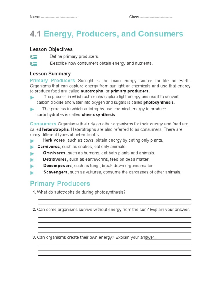 Energy Producers and Consumers Overview | PDF