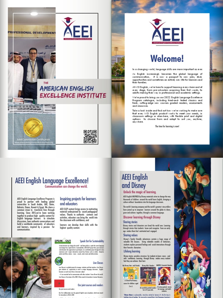 Aeei Program Catalogue | PDF | Teaching Method | Teachers