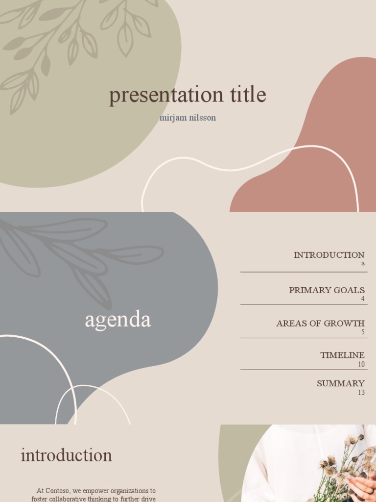 Presentation on Contoso's Goals, Growth Areas, Timeline and Strategies ...