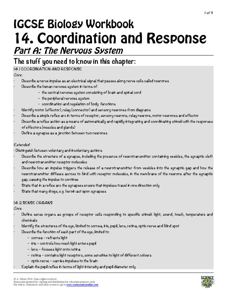 Coordination and Response Part A | PDF | Neuron | Nervous System