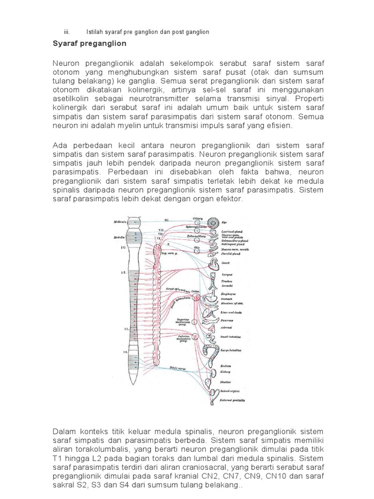 Materi Sistem Saraf | PDF
