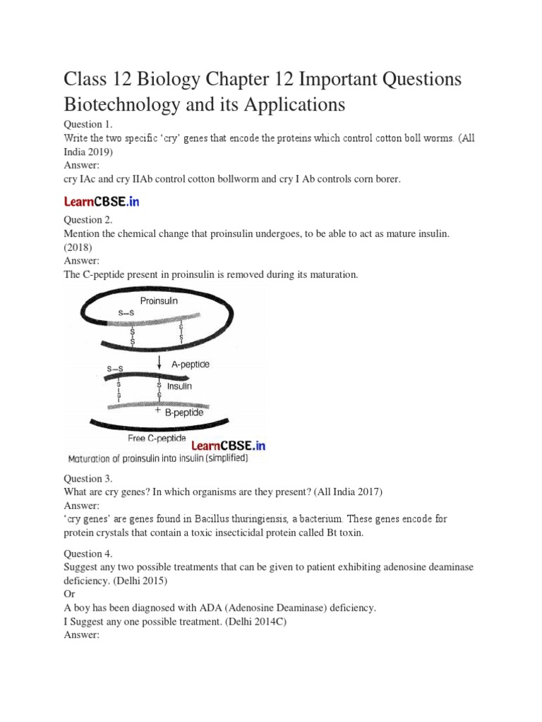 Biotechnology and Its Application | PDF | Genetically Modified Organism ...