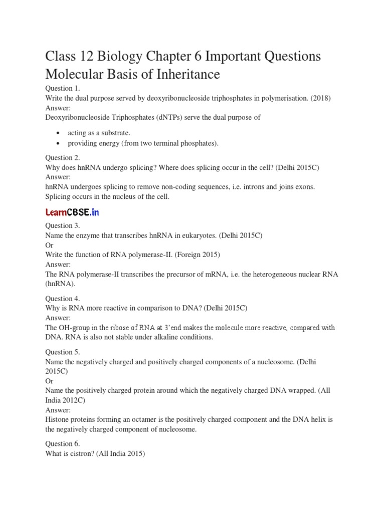 Molecular Basis of Inheritance | PDF | Dna | Rna