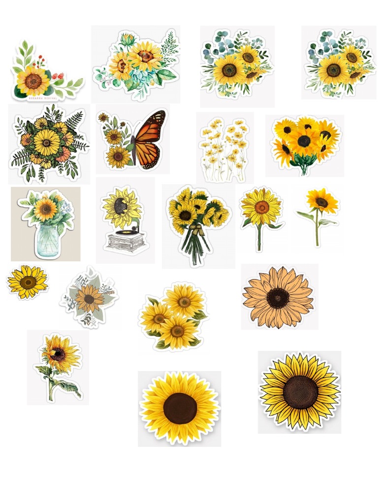 Sunflower | PDF